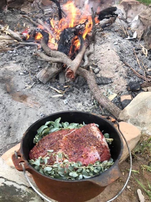 Saltbush Chips: A Snack for the Road - Ultra Vision Lighting