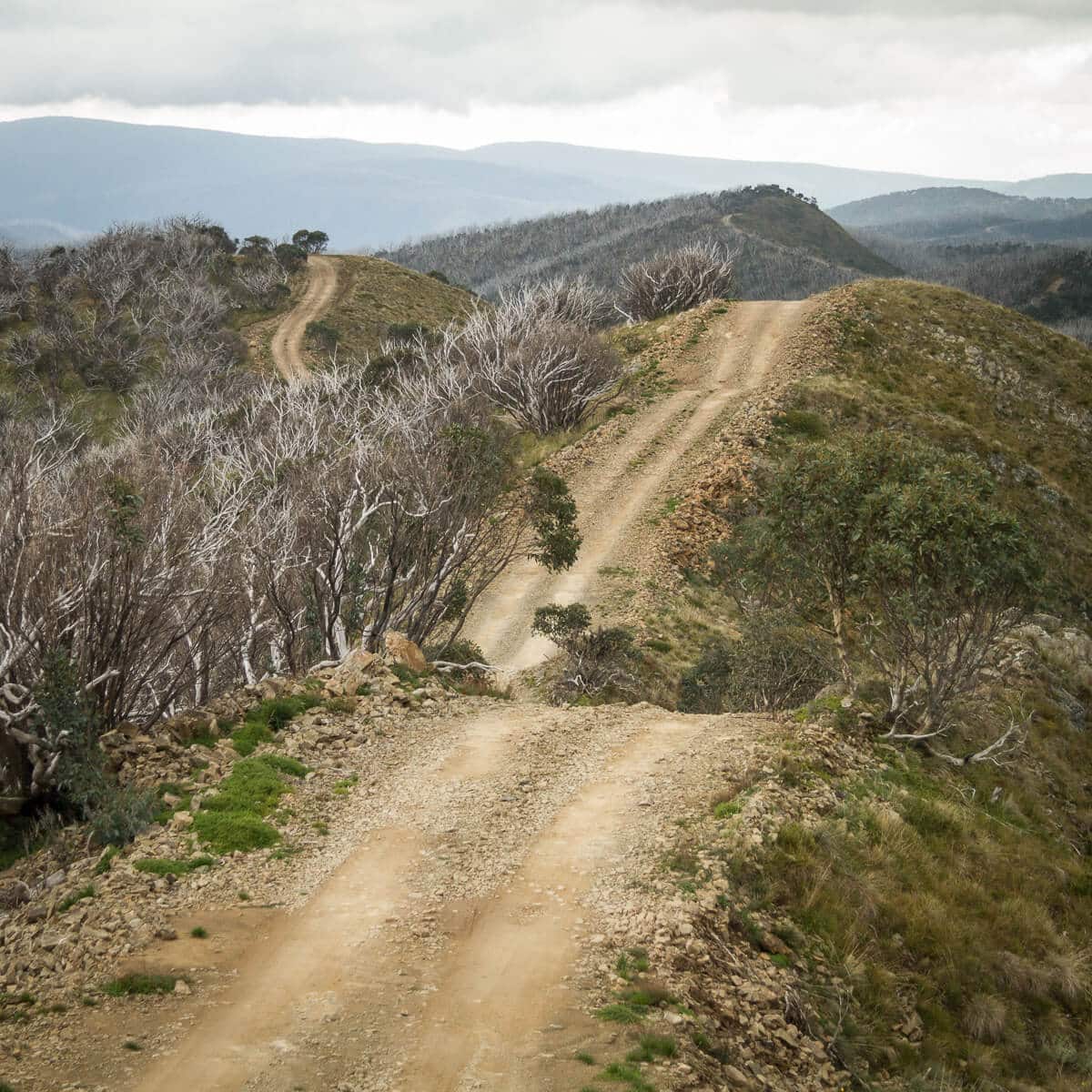 Best 4WD Tracks in Victoria - Ultra Vision Lighting